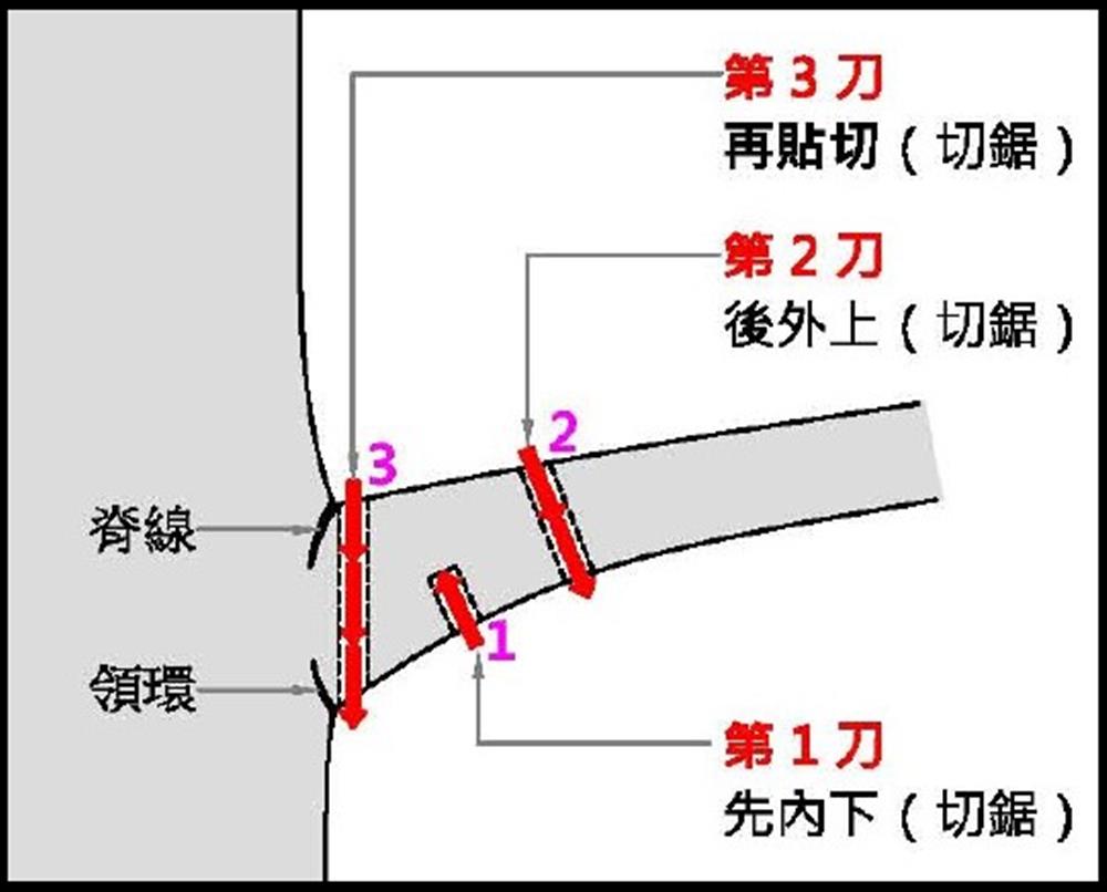 【專訪《聽樹》出版團隊】樹，可以怎麼去傾聽？從屏東縣政府的護樹工作談起 - GPI政府出版品資訊網